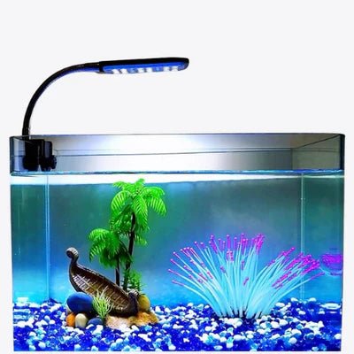 Best Fish Aquarium Lights for Vibrant Tanks – BURAQ PETS