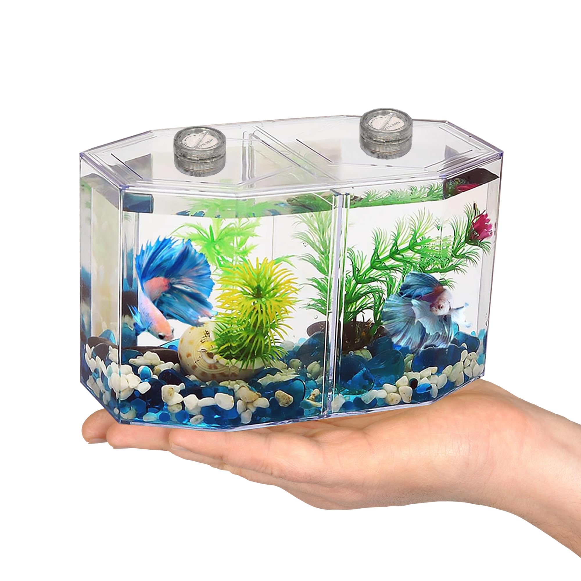 Compact Betta Dream Tank - Stylish Aquarium for Betta Fish – BURAQ PETS